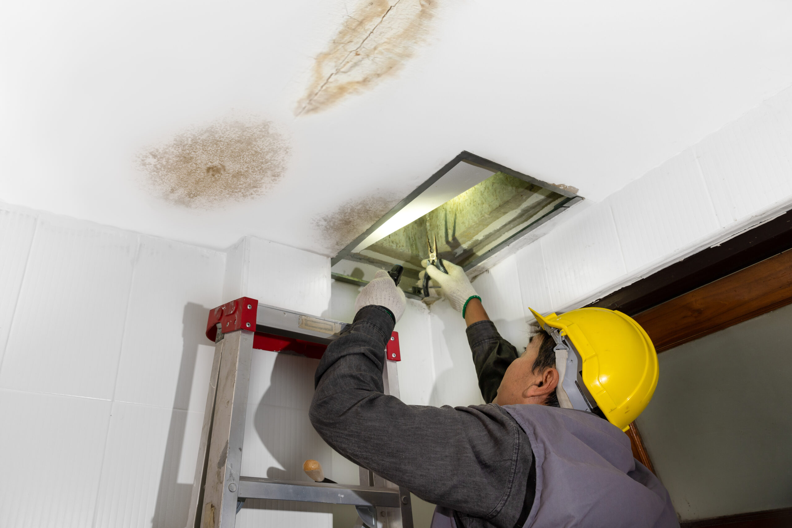Water Intrusion Services | Water Damage Restoration - Majestic Facility ...